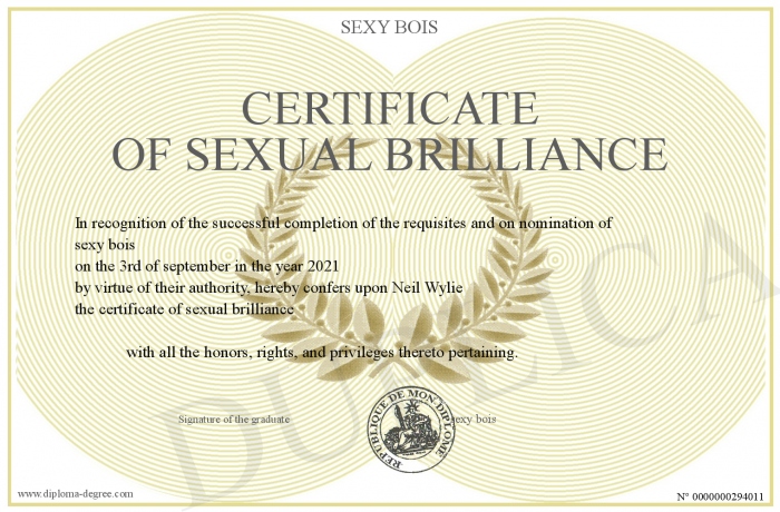 Certificate Of Sexual Brilliance