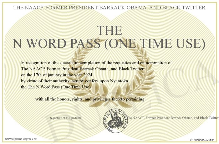 The N Word Pass One Time Use